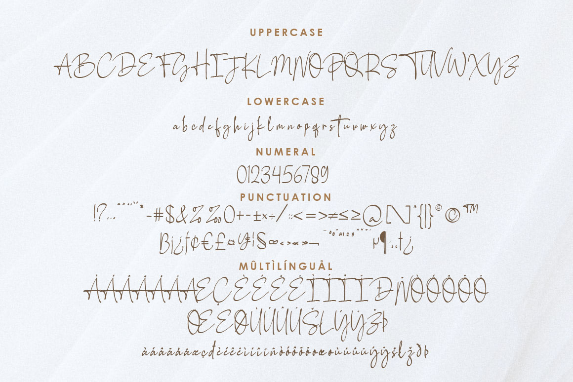 Southampton - Brush Script Font, Fonts | GraphicRiver